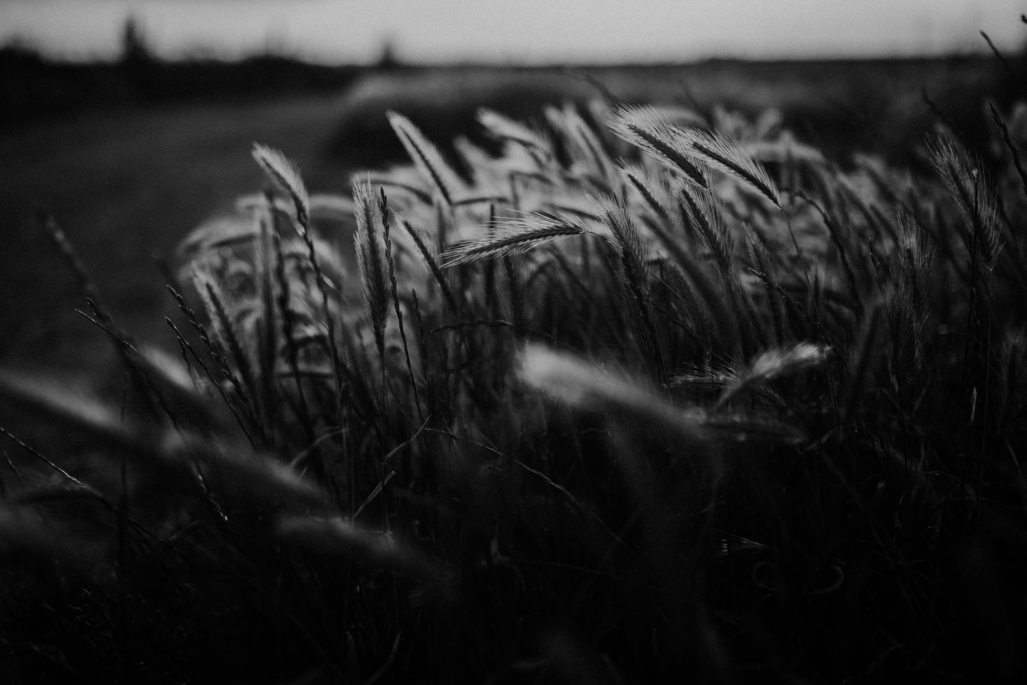 What Is Crop Insurance And How Does It Work A Guide What Is Crop Insurance And How Does It Work A Guide